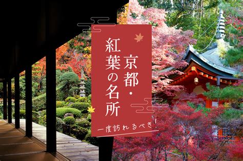 2024 京都で人気の紅葉名所9選もみじの見頃とライトアップも紹介 Leaf KYOTO