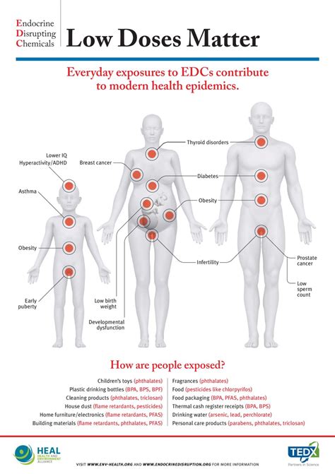 Edcs Throughout Your Day