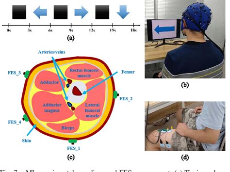 Figure 7 From Eeg Based Volitional Control Of Prosthetic Legs For Walking In Different Terrains