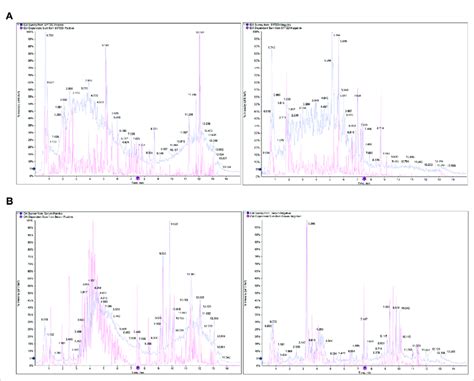 Uplc Q Tof Ms Analysis Of Chemical Compounds In Sytzd And Rat Serum Download Scientific