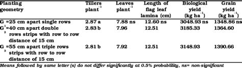 Effect Of Planting Geometry On Growth And Yield Of Wheat Download Table