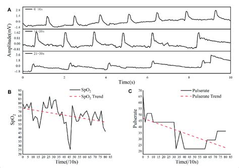 Red Light Ppg Of The Rat Brain In The First 90 S A The Intensity Of Download Scientific