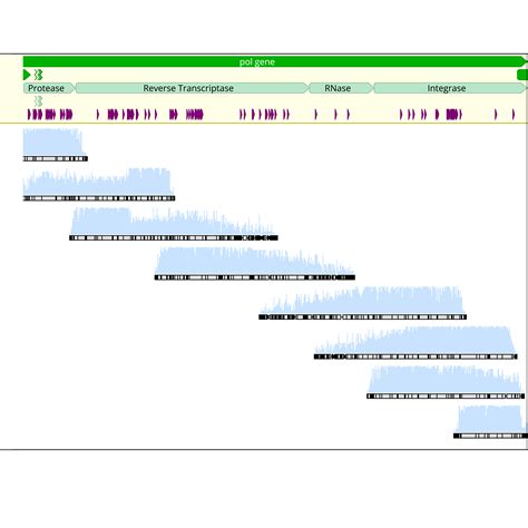 Affordable Method For Genotyping Hiv 1 Reverse Transcriptase Protease And Integrase Genes An