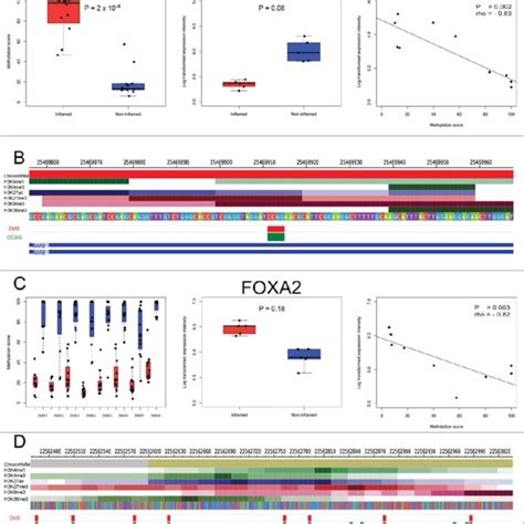 Integrative Analysis Of Differential Dna Methylation And Gene