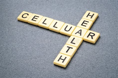 Cellular Health Processes That Contribute To The Optimal Functioning Of Organism Cells Stock