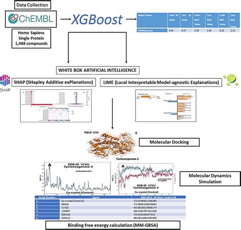 Explainable Artificial Intelligence Assisted Virtual Screening And