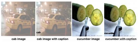 可解释性论文笔记：interpretability Beyond Feature Attribution（tcav） Csdn博客