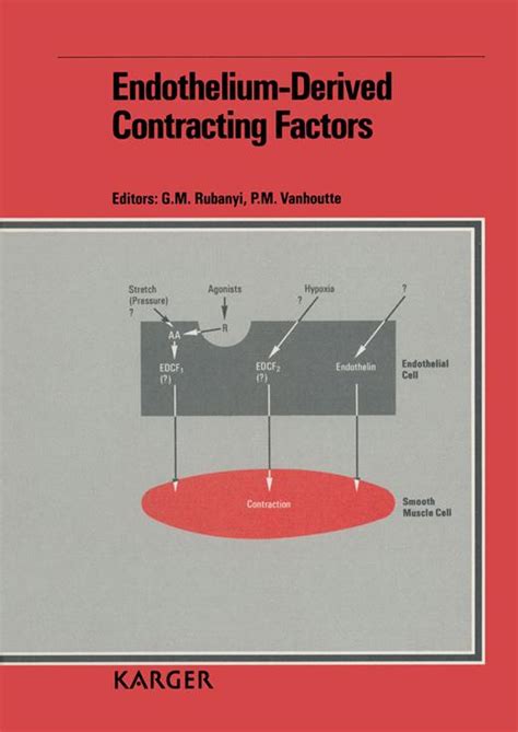 Endothelium Dependent Vasoconstriction Endothelium Derived Contracting Factors1st
