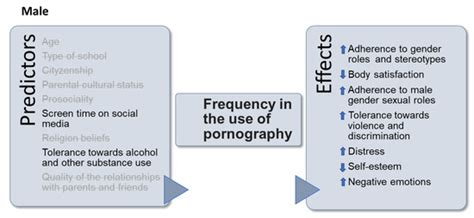 Societies Free Full Text The Un Equal Effect Of Binary Socialisation On Adolescents