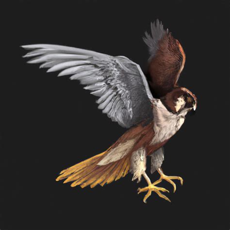 El Halcón Características Hábitat Y Comportamiento De Uno De Los