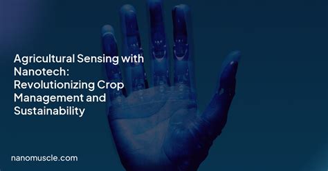 Agricultural Sensing With Nanotech Revolutionizing Crop Management And Sustainability