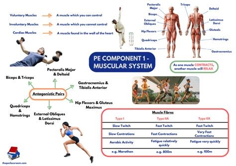Pe Cheat Sheets Download The Pe Classroom