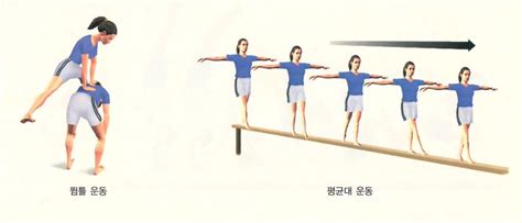맨손체조 기계체조 체조의종류와방법 마루운동과 철봉운동 체조경기볼때 알아두면 좋은 스포츠 지식 알아보아요 네이버 블로그
