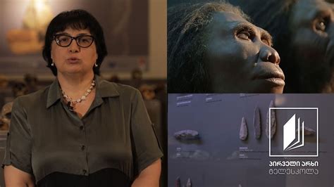 ისტორია Ix კლასი ქვის ხანის საქართველო ტელესკოლა Youtube