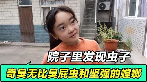 妈妈套路静宝手抓臭屁虫静宝会上当么还遇到了坚强的螳螂我是静宝呀 YouTube