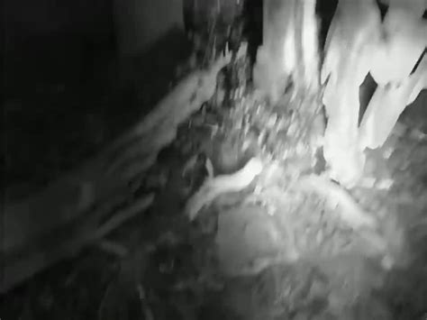 Video 80 Level On Linkedin 3dart 3danimation Animation Horror Horrorfilm Visualproduction