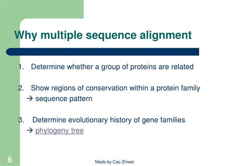 Ppt Part Ii Sequence Comparison Multiple Sequence Alignment