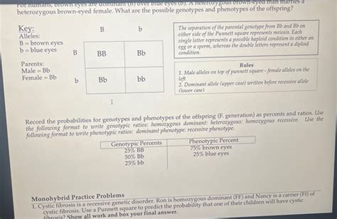 Unit Test 3 Flashcards Quizlet Unit Test 3 Flashcards Quizlet