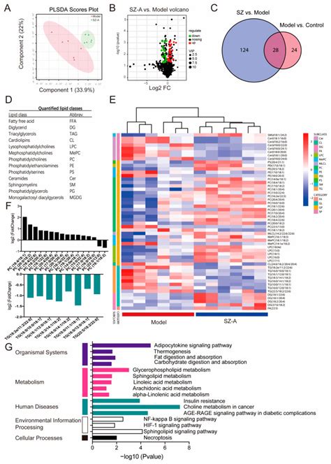 Integration Of Transcriptomics And Lipidomics Profiling To Reveal The