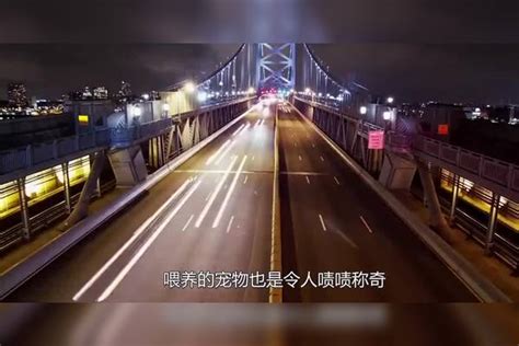 大鹅上厕所半天不出来，主人开门一看厕所主人