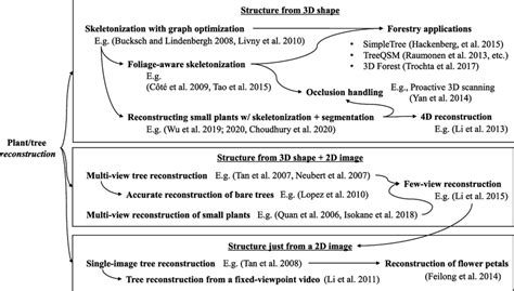 Developmental Trends In The Estimation Of Reconstructed Planttree