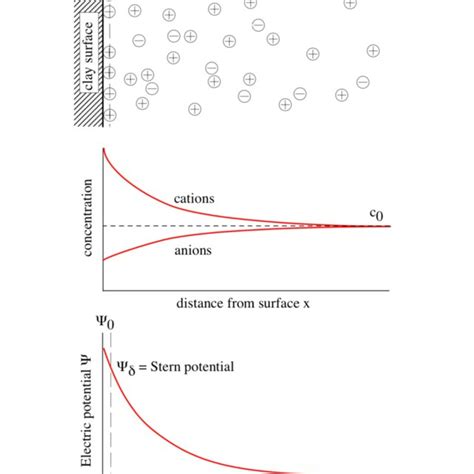 Gouy Chapman Stern Model For Ion And Electrical Potential Distribution Download Scientific