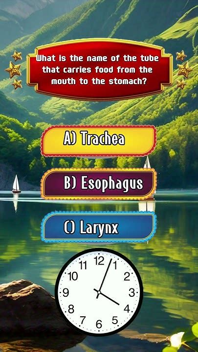 Human Body Part 2 Quiz Shorts Shortvideo Quiztime Trivia Youtube