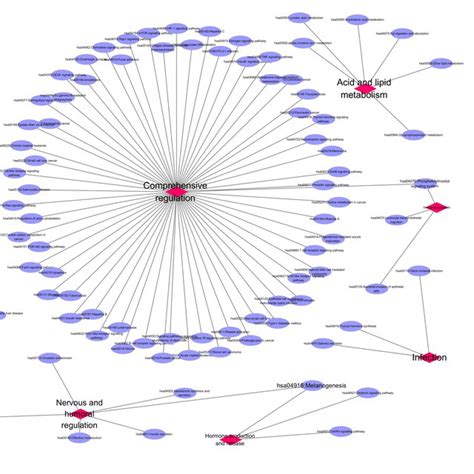 Functional Annotation Clustering Of Kegg Pathway Enriched By 715
