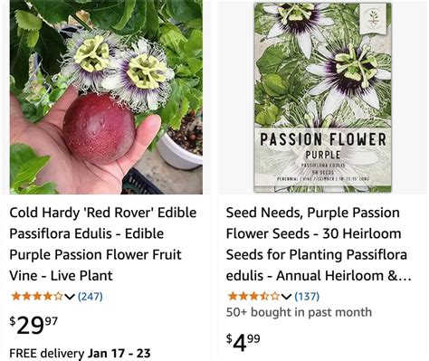Plant Faqs Passiflora Edulis