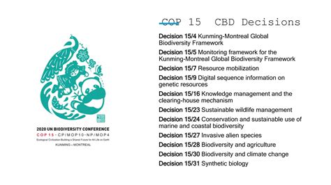 Biodiversity In Cee Countries Cbd Challenges And Opportunities For Implementation In Cee