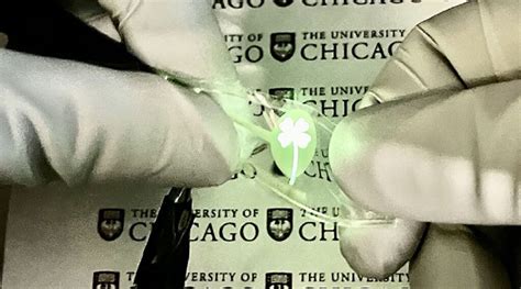High Efficiency Stretchable Light Emitting Material For Flexible Screens