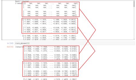 dataset input nan but fine on index vision pytorch forums