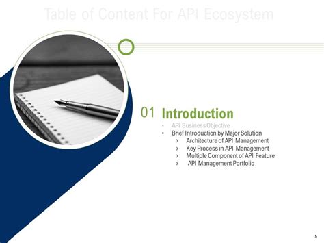 API Ecosystem Powerpoint Presentation Slides Presentation Graphics