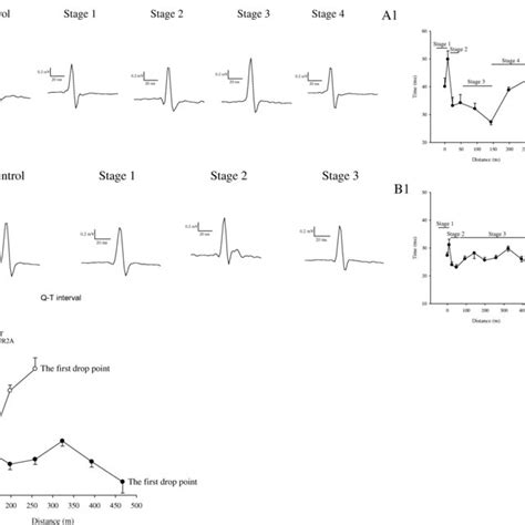 A Scheme Describing Treadmill Exercise Test Download Scientific Diagram