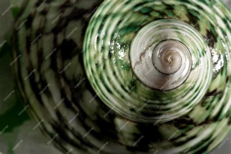 Premium Photo Sea Snail Green Color On A Background Of Sea Salt Shell Spiral Abstract Premium Photo Sea Snail Green Color On A Background Of Sea Salt Shell Spiral Abstract