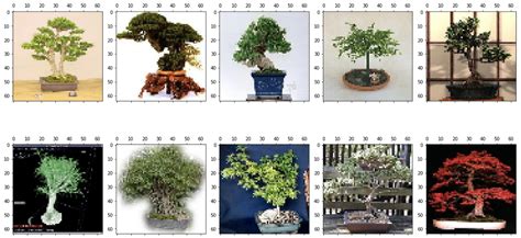 Deep Convolutional Gan — How To Use A Dcgan To Generate Images In