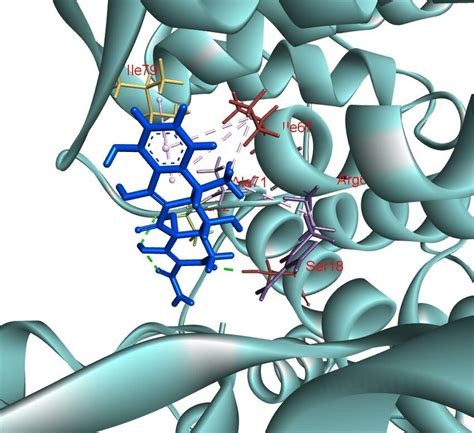 9 3d Representation Of Doxycycline In Active Site Of 4qpj Download