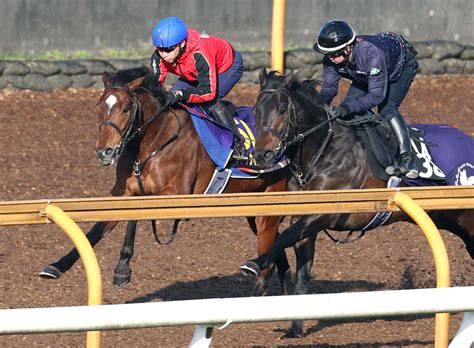 【池添謙一のken To 1】大阪杯はヒンドゥタイムズ 状態の良さ生かして上位狙う スポーツ報知