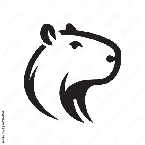 Photos Of The Capybara Or Greater Capybara The Largest Living Rodent