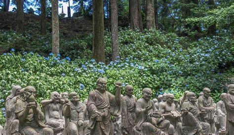 四國自駕遊必去搭雲邊寺纜車7分鐘輕鬆登山360度俯瞰瀨戶內海 樂吃購日本