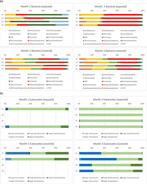 Phylum Level And Class Level In The Proteobacteria Classification Of Download Scientific