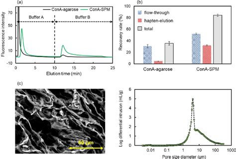 Lac Of Liposomal Nanoparticles On The Cona Spm And Cona Agarose Download Scientific Diagram