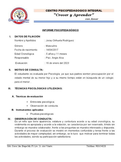 Informe Psicopedagogico Joau Pdf Aprendizaje Las Emociones