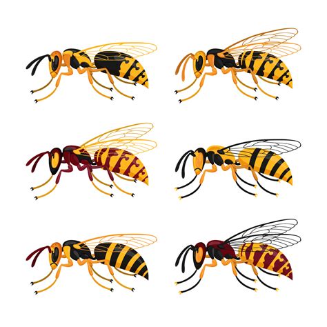 Bee Hornets Vector Collection 168236 Vector Art At Vecteezy