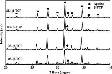 The XRD pattern 0Si β TCP 2Si β TCP 4Si β TCP and 8Si β TCP coated Download Scientific
