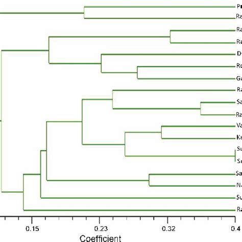 UPGMA Cluster Analysis Showing The Diversity And Relationship Among