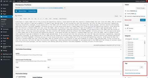 Create And Manage Portfolio Posts Pofo Documentation