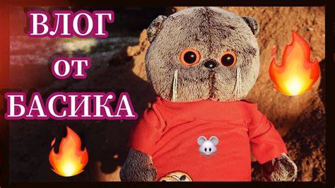 ВИДЕО ОТ КОТА БАСИКА обзор на игрушки басиков и Лили Youtube
