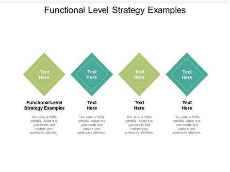Functional Level Strategy Examples Ppt Powerpoint Presentation Summary