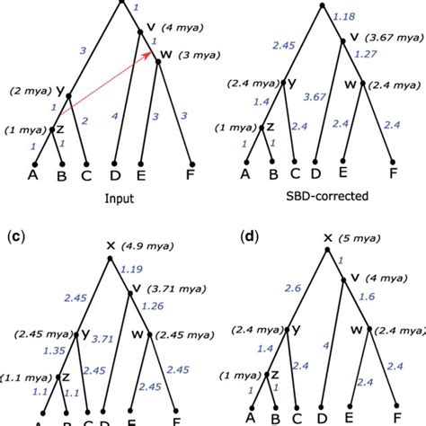 Illustration Of Objective Functions Implemented In Dater A An Input